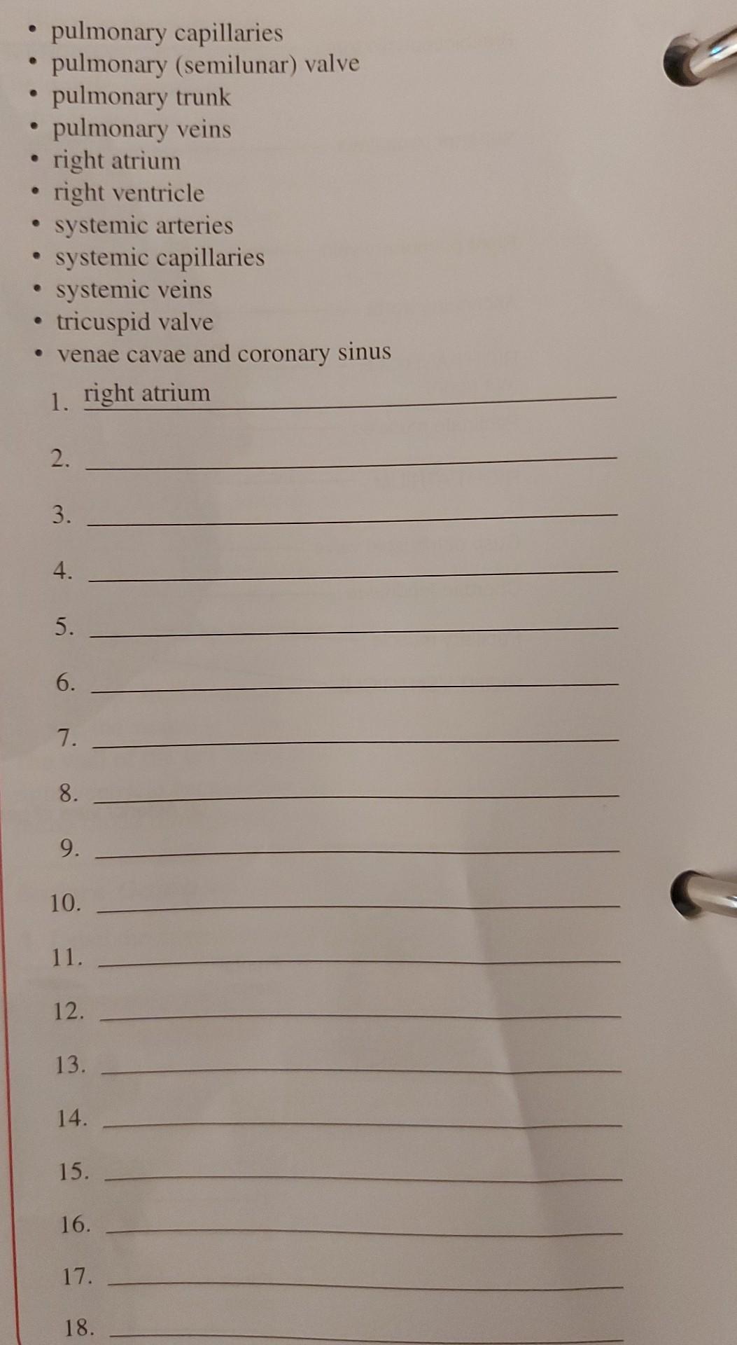 Solved 4 Trace a drop of blood through the heart and lung by | Chegg.com