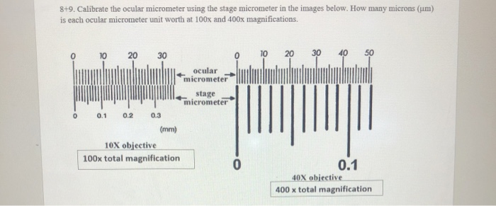 Solved 8+9. Calibrate the ocular micrometer using the stage | Chegg.com