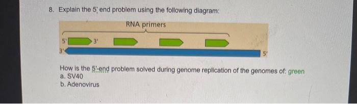 Solved 8. Explain the 5 end problem using the following | Chegg.com