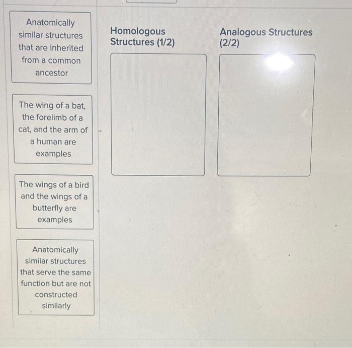 Solved Homologous Structures (1/2) that are inherited from a | Chegg.com