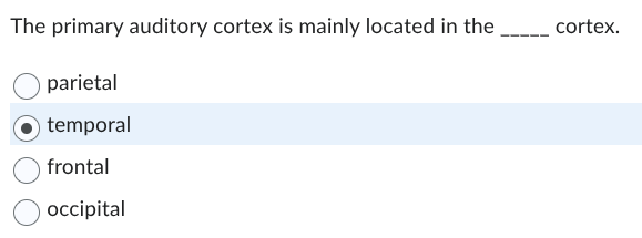Solved The primary auditory cortex is mainly located in | Chegg.com