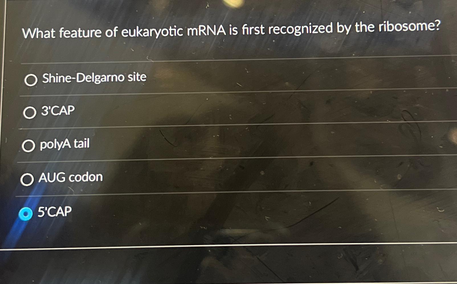 Solved What feature of eukaryotic mRNA is first recognized | Chegg.com