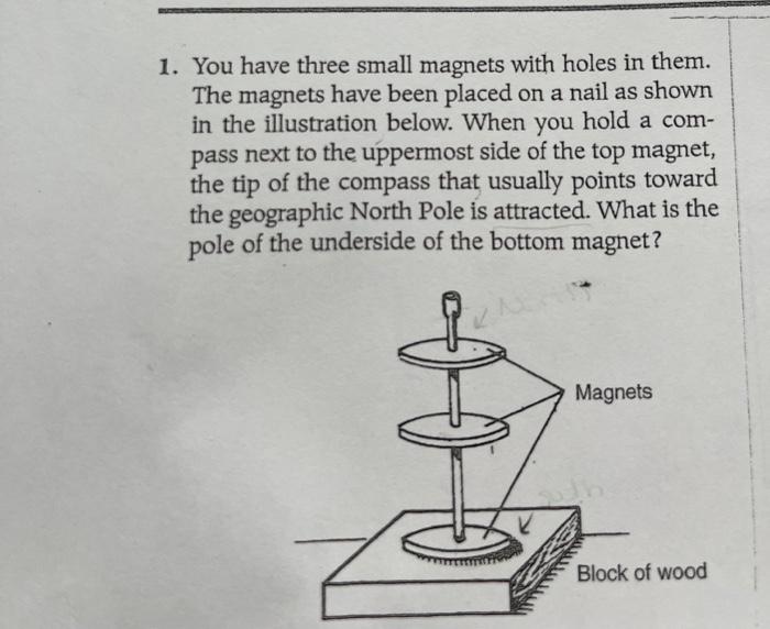 Solved 1. You have three small magnets with holes in them. | Chegg.com