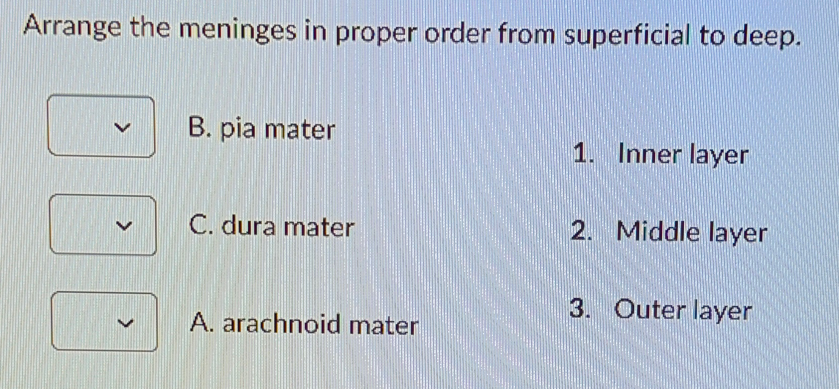 Solved Arrange the meninges in proper order from superficial | Chegg.com