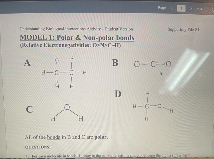 Solved Understanding Biological Interactions Activity - | Chegg.com