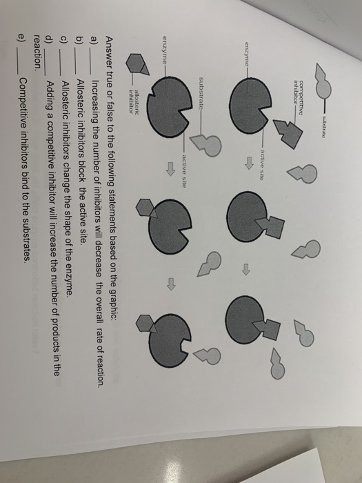 Solved competitive inhibito - active site substrate- - | Chegg.com