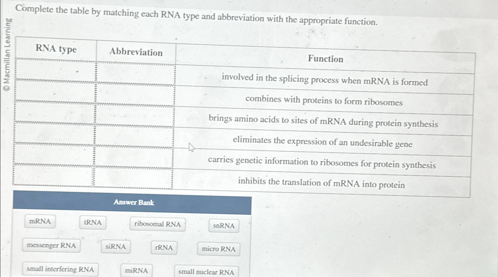 Solved Complete the table by matching each RNA type and | Chegg.com