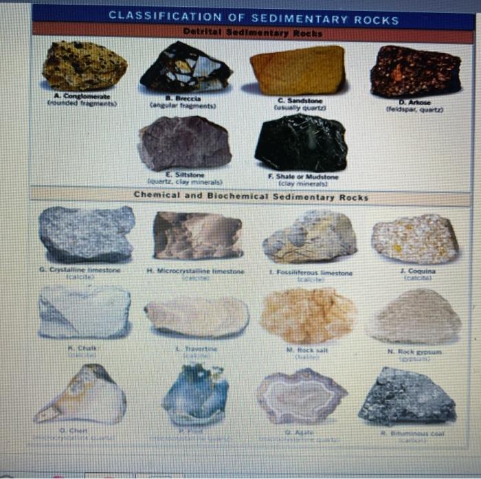 Solved CLASSIFICATION OF SEDIMENTARY ROCKS Delta Sedimentary | Chegg.com