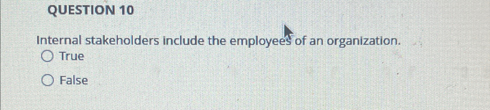 Solved QUESTION 10Internal stakeholders include the | Chegg.com
