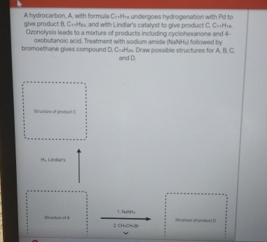 Solved A hydrocarbon, A, ﻿with formula C11H1 ﻿undergoes | Chegg.com