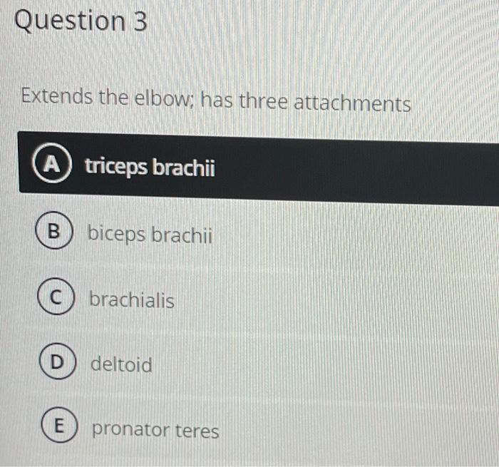Solved Skeletal muscles are multinucleate because the fibers | Chegg.com