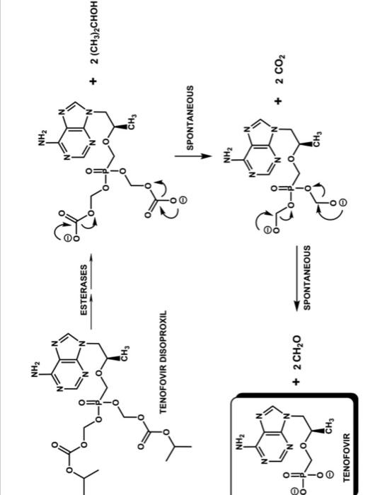 Solved Problem 12 AZT is a common HIV drug, which inhibits | Chegg.com