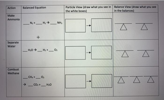 Solved Action Balanced Equation Particle View (draw what you | Chegg.com