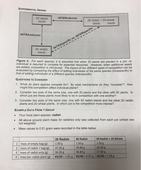 EXPERIMENTAL DESIGN INTERSPECIFIC 20 radish seeds 20 | Chegg.com
