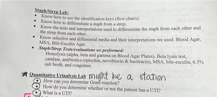 Solved Staph/Strep Lab: - Know how to use the identification | Chegg.com