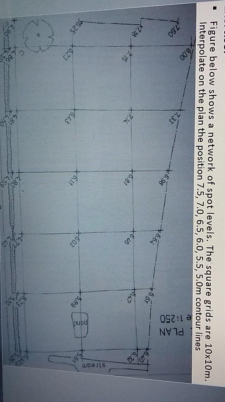 Solved Figure below shows a network of spot levels. The | Chegg.com