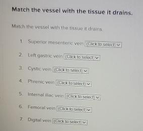 Solved Match the vessel with the tissue it drains.Match the | Chegg.com