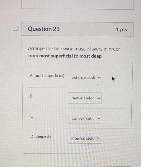 Solved Question 23 1 pts Arrange the following muscle layers | Chegg.com