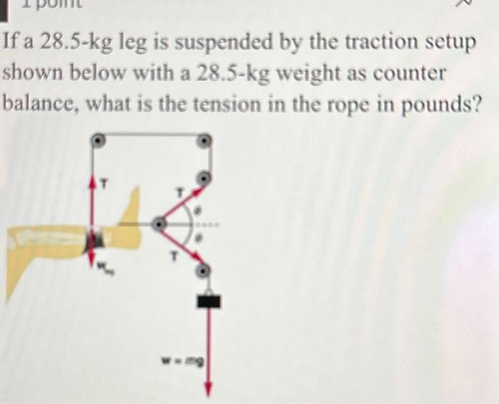 Solved If a 28.5-kg leg is suspended by the traction setup | Chegg.com