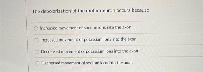 Solved The depolarization of the motor neuron occurs because | Chegg.com