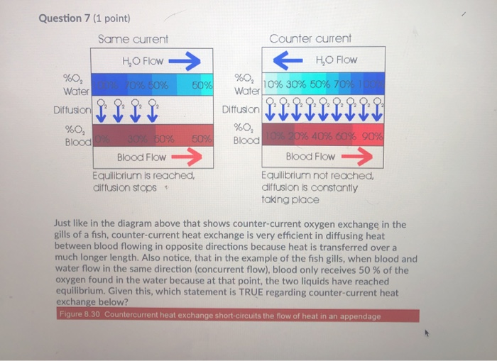Solved Question 7 (1 point) Same current Counter current HO | Chegg.com