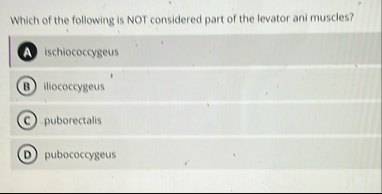 Solved Which of the following is NOT considered part of the | Chegg.com