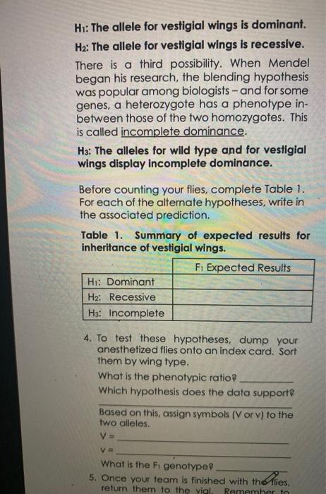 Solved Lab 15: Inheritance in Drosophila With Thomas Hunt | Chegg.com