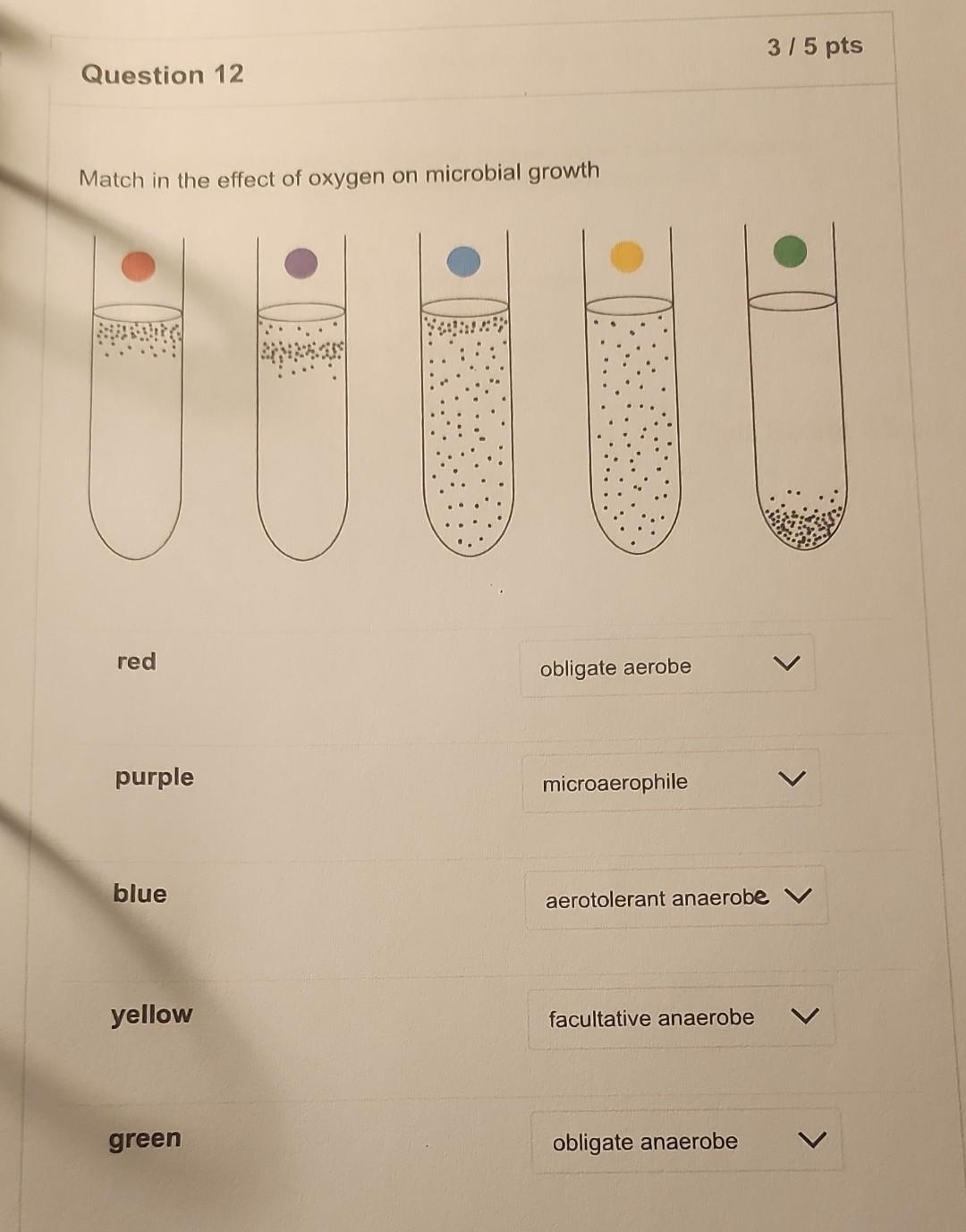 Solved Match in the effect of oxygen on microbial growth red | Chegg.com