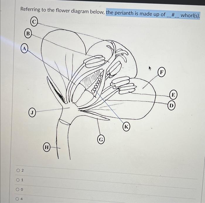 Referring to the flower diagram below, the perianth | Chegg.com