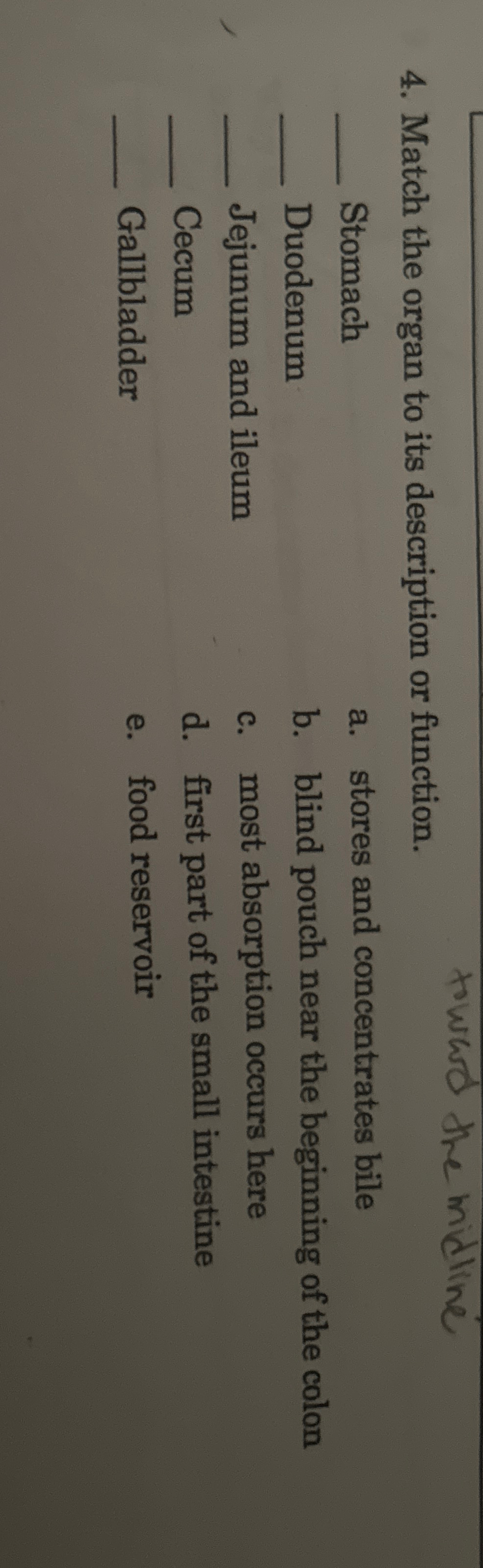 Solved Match the organ to its description or function.towhed | Chegg.com