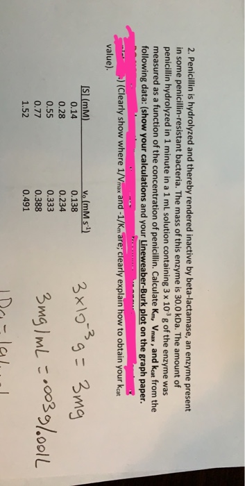 Solved 2. Penici s hydrolyzed and thereby rendered inactive | Chegg.com