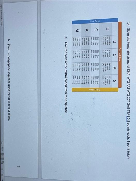 Solved 14. Given the template strand of DNA: ATG AAT ATG CCT | Chegg.com
