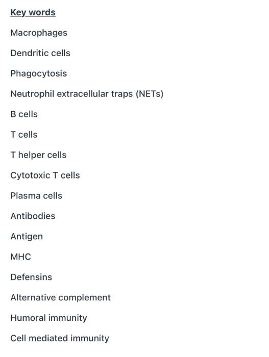 Solved Create a concept map about the immune system using | Chegg.com