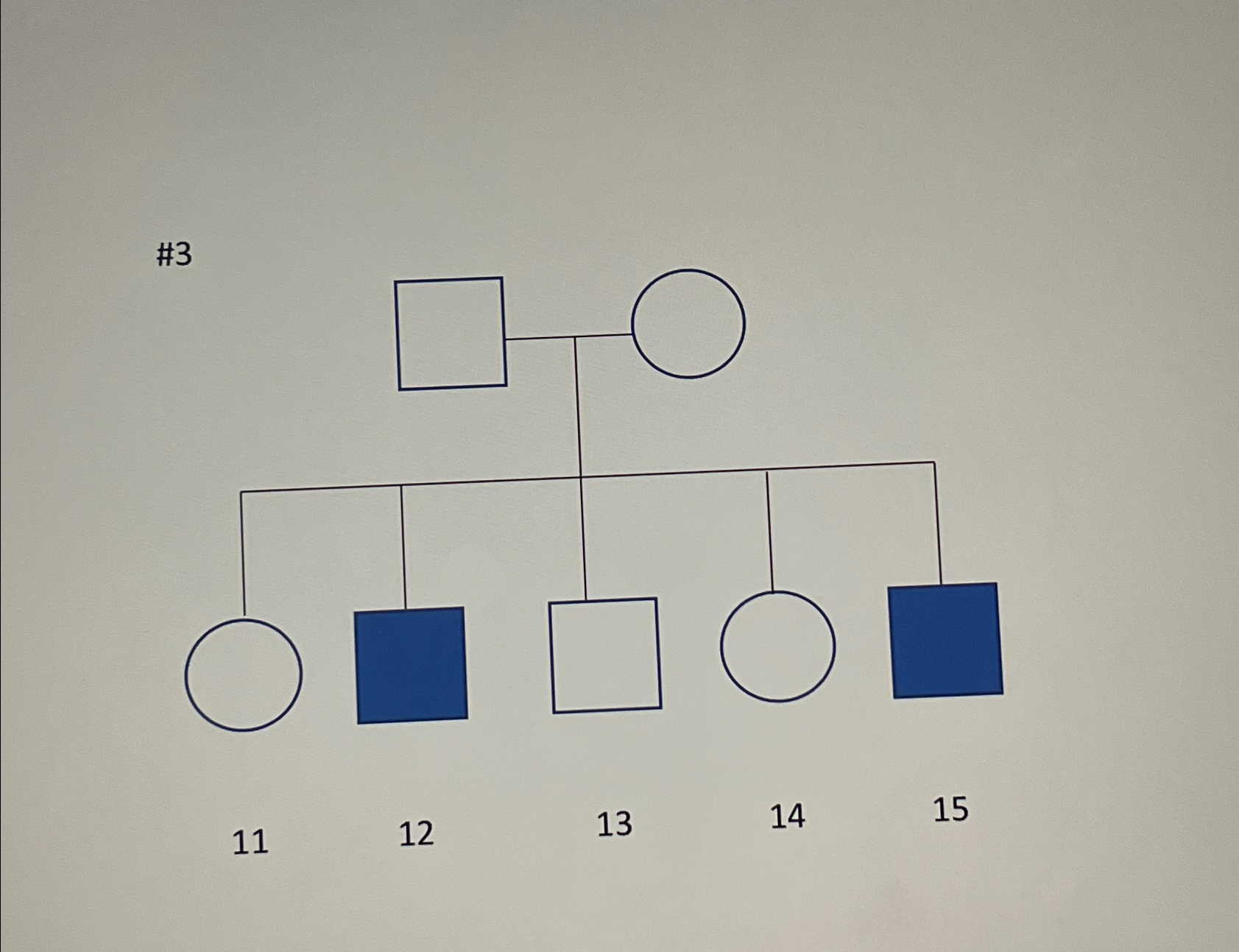 Solve sex influenced trait | Chegg.com
