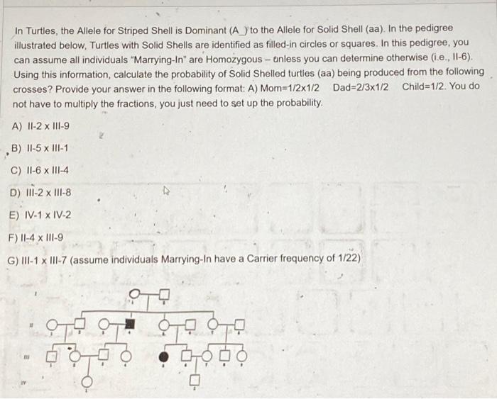 Solved In Turtles, the Allele for Striped Shell is Dominant | Chegg.com
