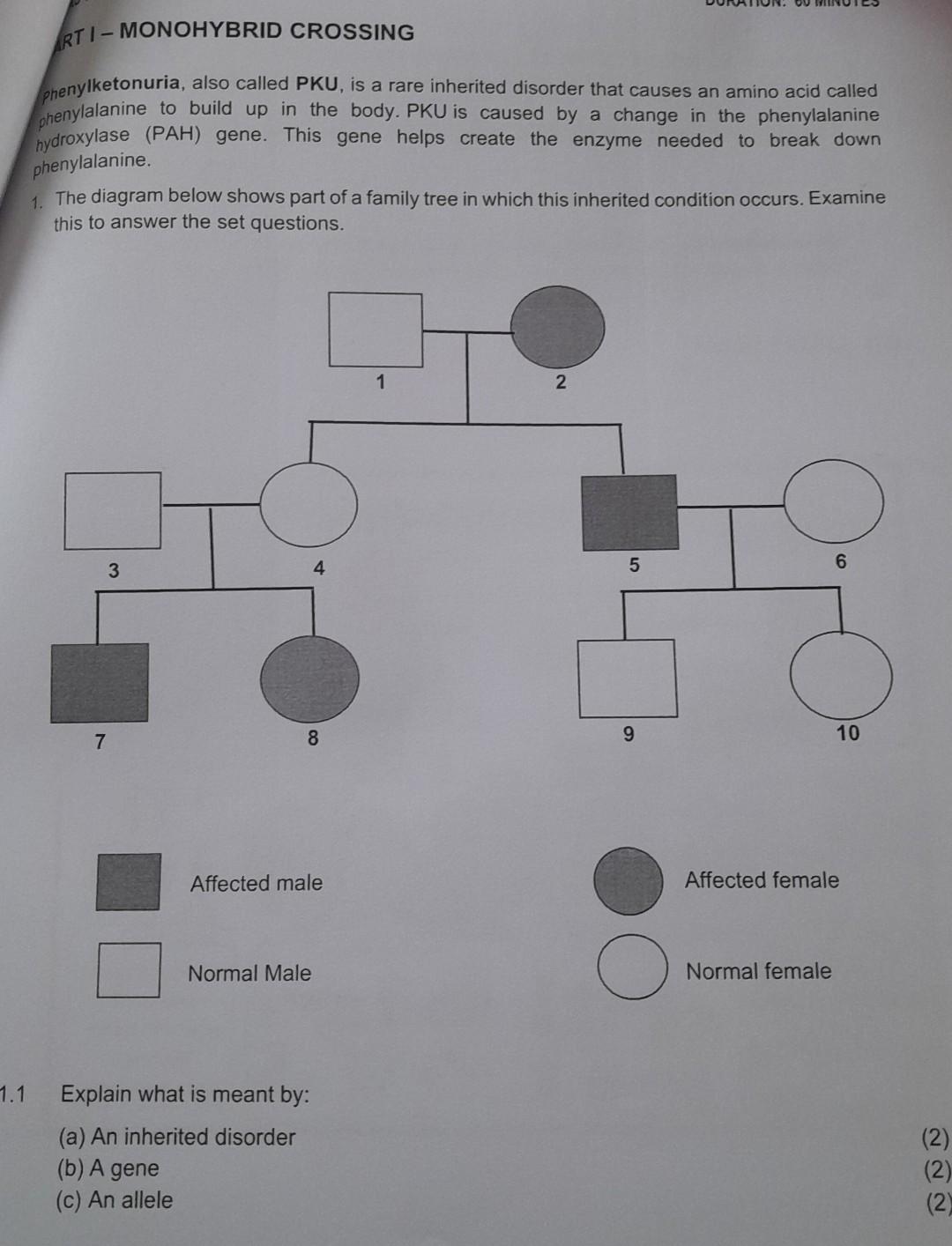 Solved RTI - MONOHYBRID CROSSING phenylketonuria, also | Chegg.com