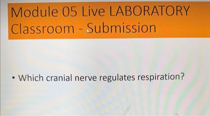 Solved Module 05 Live LABORATORY Classroom - Submission - | Chegg.com