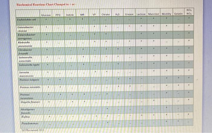 Solved D. Rewrite these results as you would a KIA test | Chegg.com