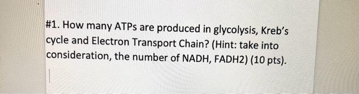 #1. How many ATPs are produced in glycolysis, Kreb's | Chegg.com