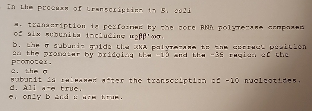 Solved In the process of transcription in E. ﻿colia. | Chegg.com