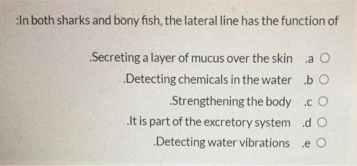 Solved :In both sharks and bony fish, the lateral line has | Chegg.com