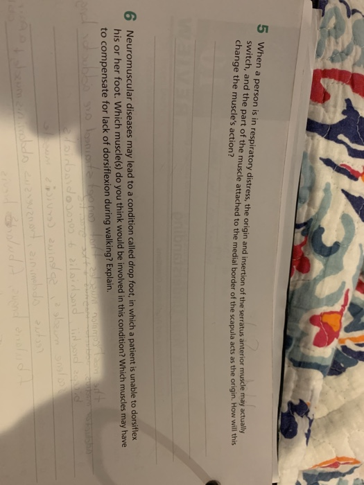 Solved Name UNIT Section Date REVIEW d by ches Check Your | Chegg.com