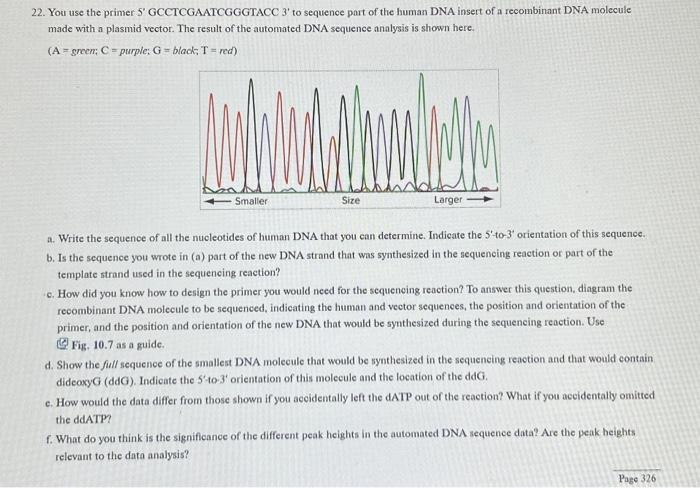 Solved 22. You use the primer 5' GCCTCGAATCGGGTACC 3' to | Chegg.com