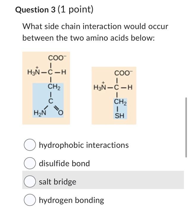 Solved What side chain interaction would occur between the | Chegg.com