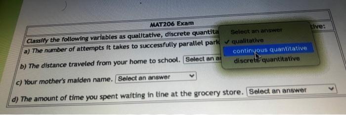 Solved MAT206 Exam Classify the following variables as | Chegg.com