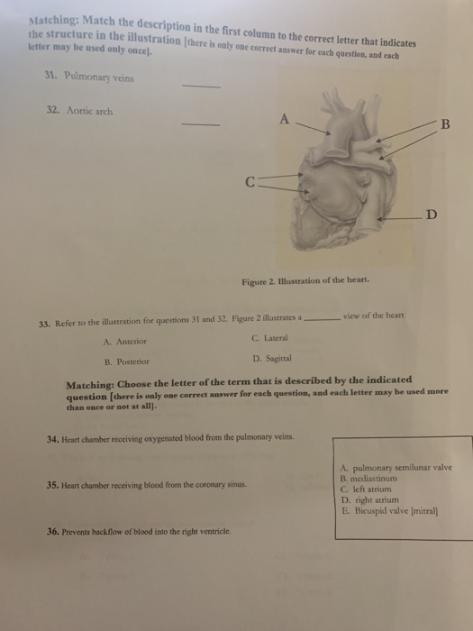 Solved Watching: Match the description in the first column | Chegg.com