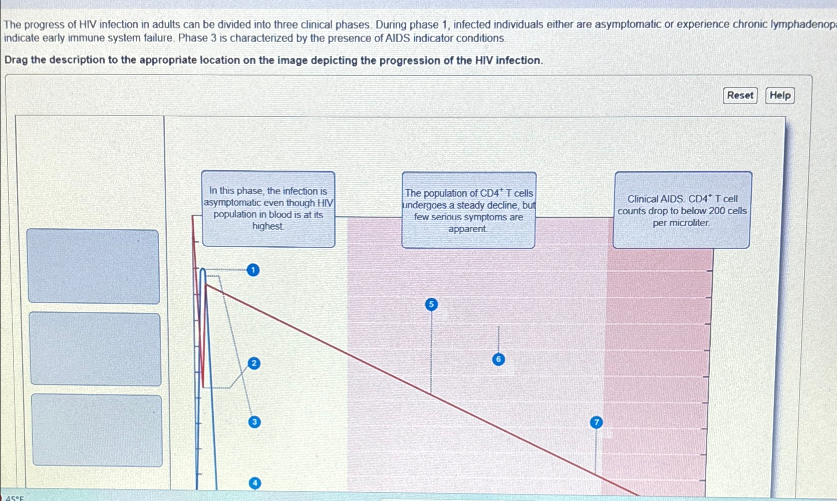 Solved The progress of HIV infection in adults can be | Chegg.com
