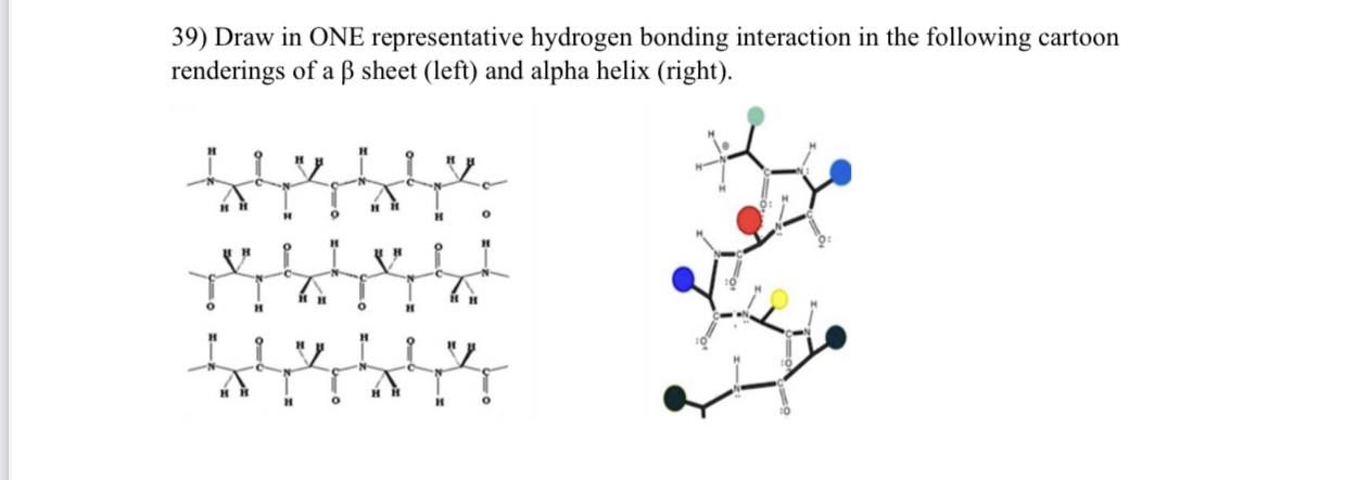 Solved Draw in ONE representative hydrogen bonding | Chegg.com