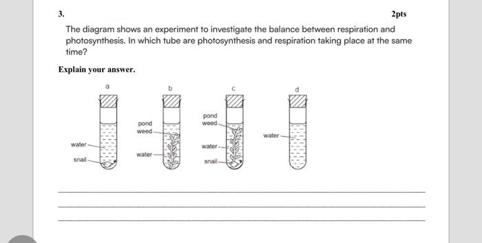 Solved 3. 2pts The diagram shows an experiment to | Chegg.com