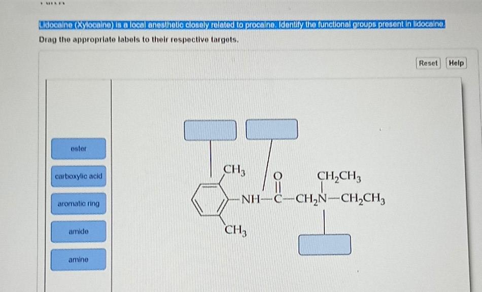 Solved Identify all the functional groups present in | Chegg.com